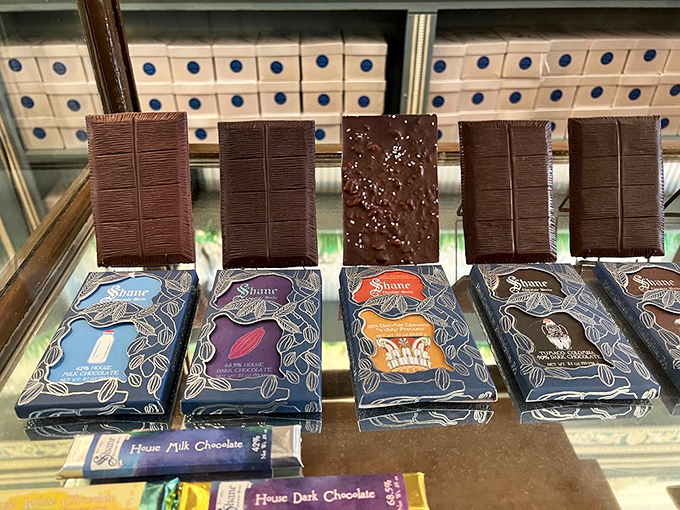 Bean-to-bar chocolate displayed like rare books in a library of flavor. Each wrapper tells a story of origin, process, and the sweet reward of artisanal craftsmanship. 