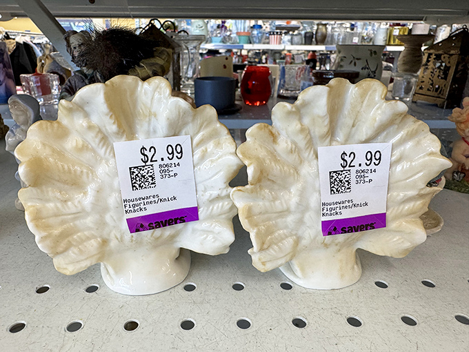 These shell-shaped dishes at $2.99 are the coastal decor touch your desert home secretly craves. Beach vibes without beach prices.