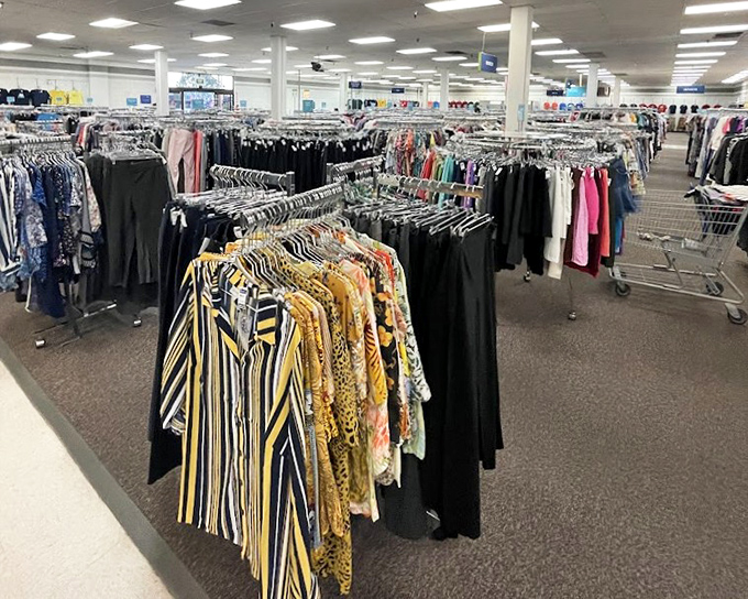 The clothing section: where fashion trends from every decade coexist in peaceful harmony. That vintage Hawaiian shirt is practically begging for its moment in the sun.