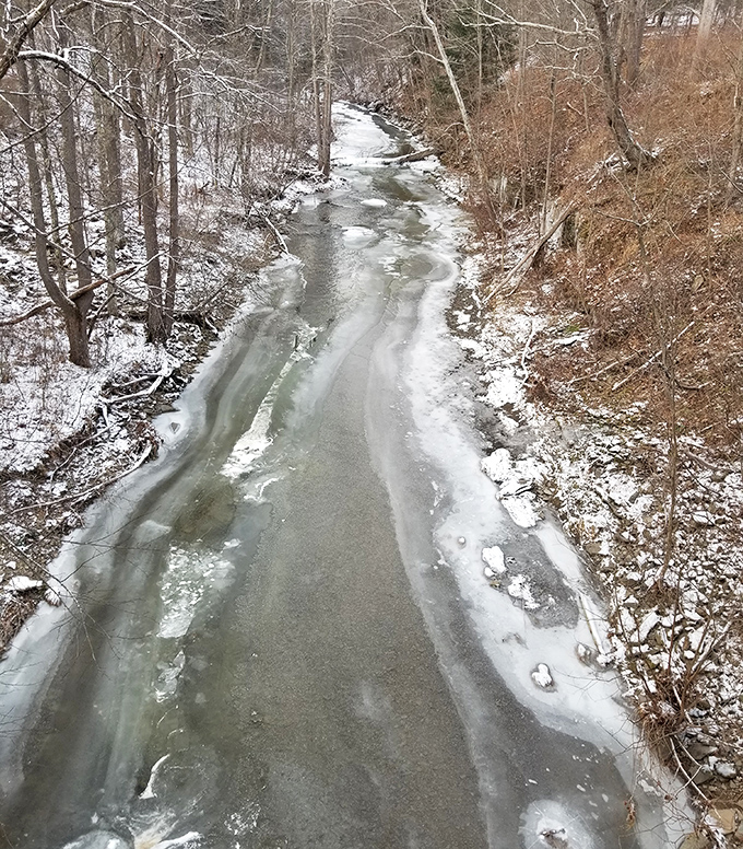 Even in winter's grip, Browns Creek maintains its quiet dignity beneath the bridge. Half-frozen waters mirror the stillness of the season.