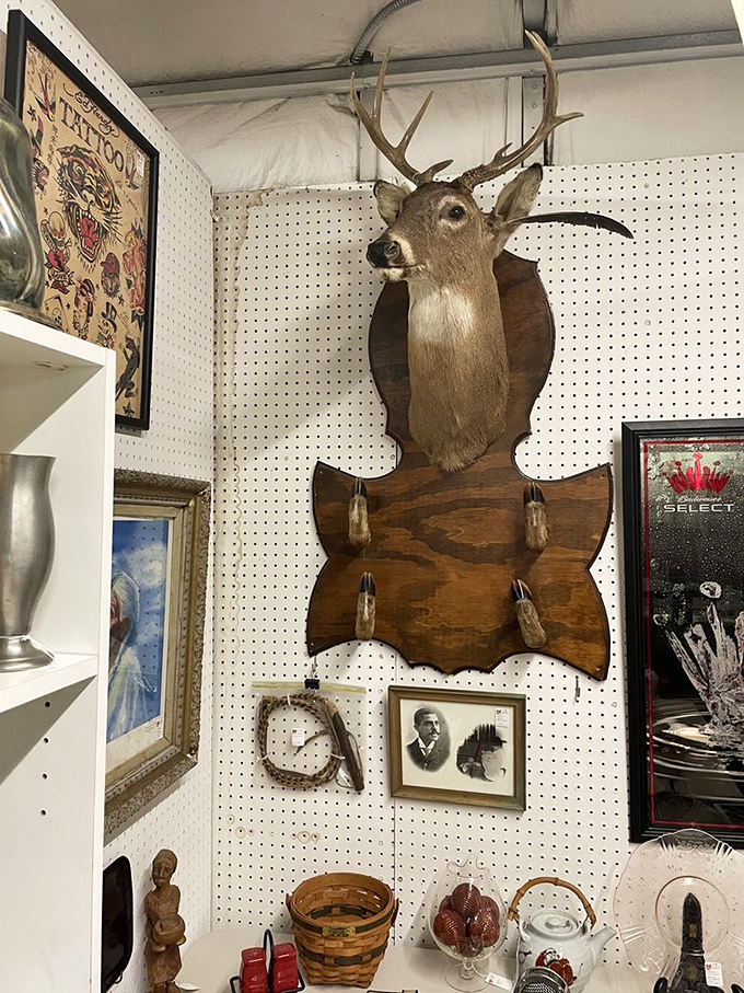 A mounted deer watches shoppers with eternal patience. In the antique world, taxidermy is where the wild things are.