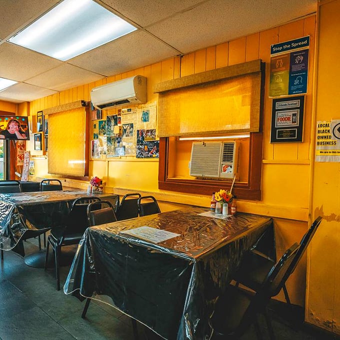 Simple tables covered in plastic, yellow walls that have witnessed decades of satisfied diners. No Instagram aesthetics needed when the food's this good.