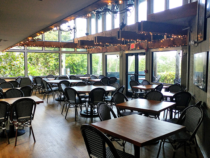 Sunlight streams through windows framing verdant views, turning an ordinary lunch into a celebration of Florida's natural splendor.