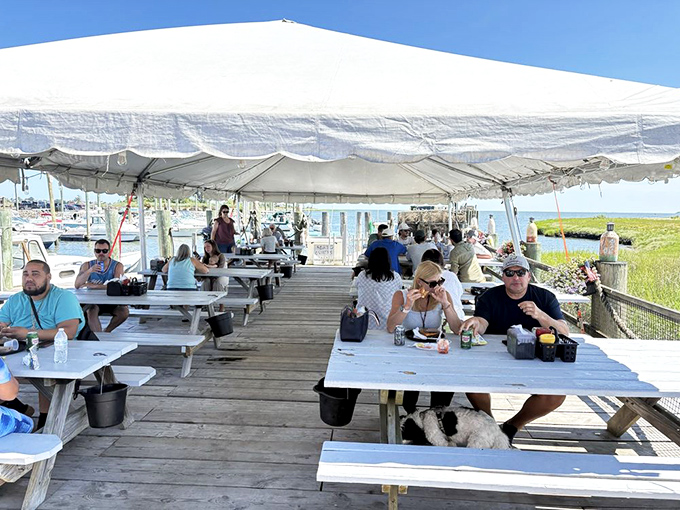 Dining under canvas with water views &ndash; where picnic tables, cold drinks, and the day's catch create the perfect summer memory.