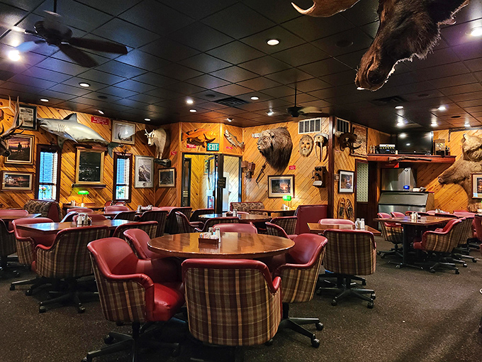 Where every chair swivels and every wall tells a story. The taxidermy creates a dining experience that's part restaurant, part natural history museum.