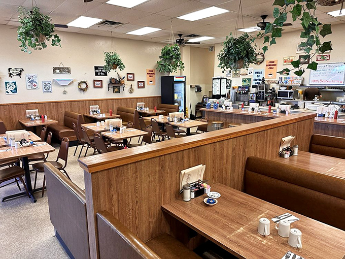 Wood paneling and hanging plants create that perfect 70s-meets-today vibe. The kind of comfortable space where you can linger without feeling rushed.