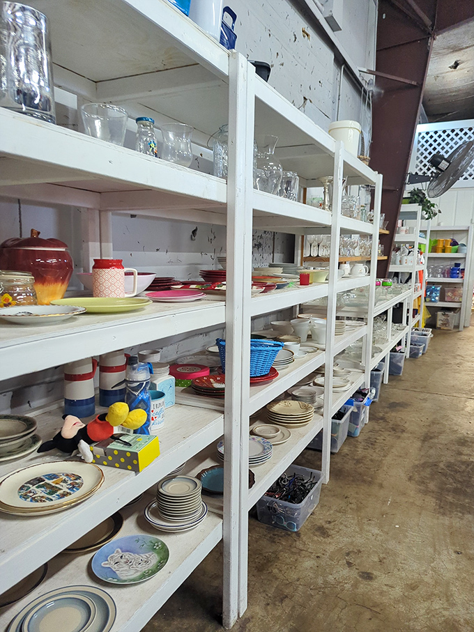 Dishware heaven &ndash; where your grandmother's china pattern sits beside the plates from that restaurant chain that went out of business in 1997.