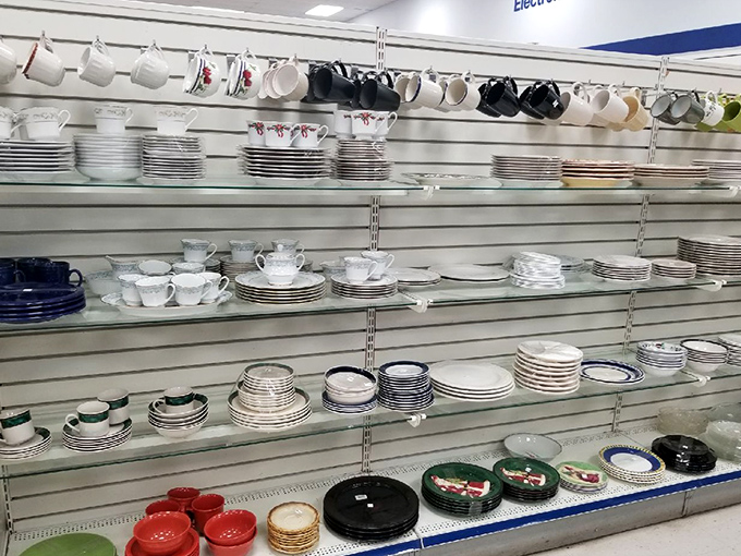 Dish department dreams! Complete your mismatched collection or start a whole new aesthetic without breaking the bank.