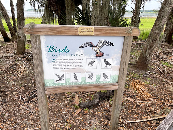 Educational signage that proves Florida's bird population is more diverse than the buffet options at your favorite retirement community restaurant.