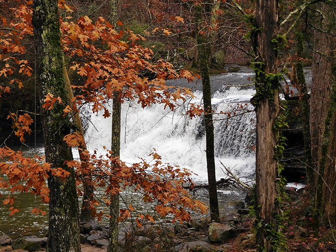 Fall leaves carpet the ground while the water keeps its steady rhythm, nature's own jazz combo.