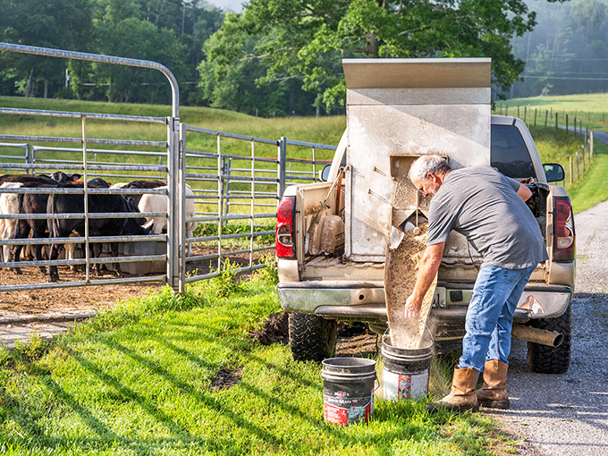Real farm life doesn't come with a filter. This gentleman's morning chores would make most office workers reconsider their definition of "hard work."