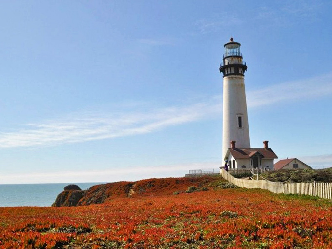 Springtime brings these vibrant ice plants, nature's way of adding color to an already perfect picture.