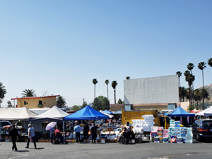 By day, the drive-in transforms into a bustling marketplace where treasure hunters search for everything from antiques to artisanal crafts.