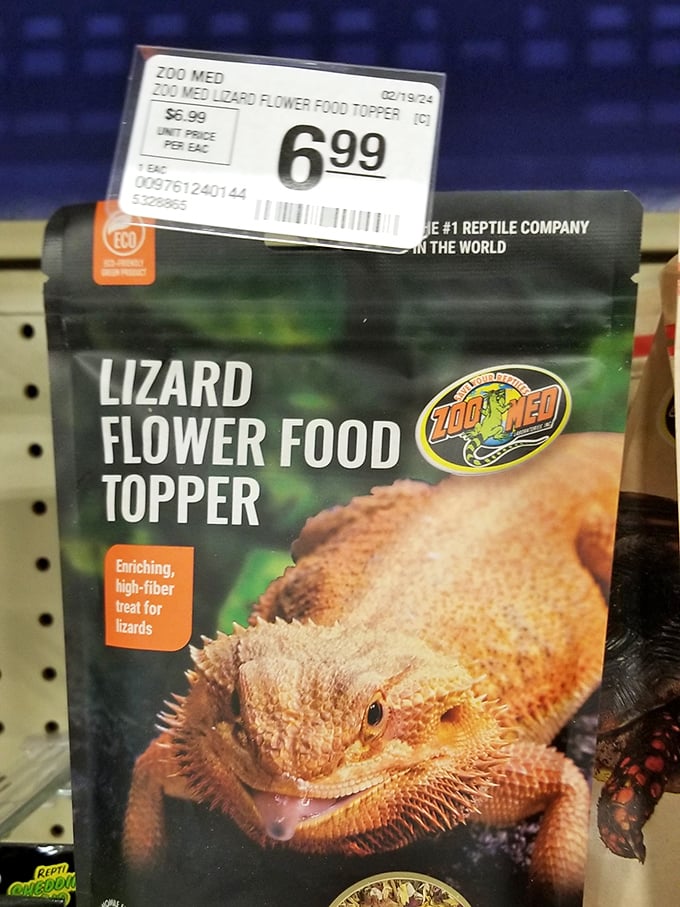 Lizard flower food topper? Even your exotic pets can dine in style for pocket change.