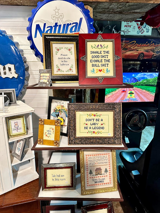 Cross-stitched wisdom and irreverent humor frame by frame. Nothing says "welcome to my home" quite like needlepoint philosophy that makes unexpected guests snort-laugh.