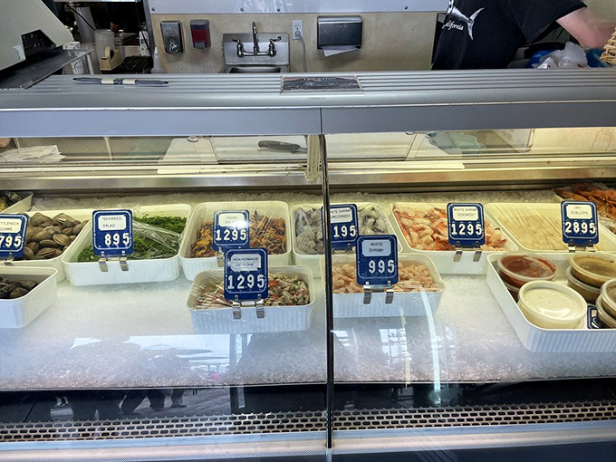 The seafood counter &ndash; where today's catch becomes tonight's dinner. Like selecting players for your dream seafood team, only delicious.