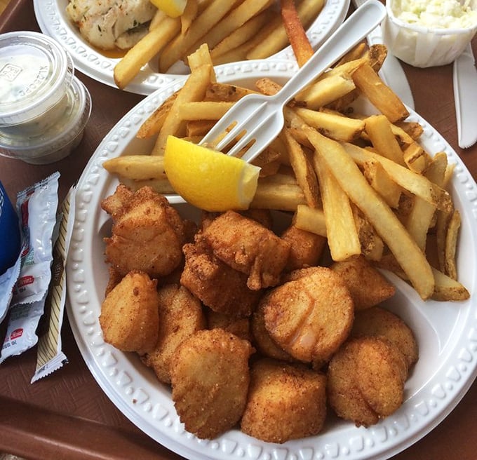 These golden scallops are the ocean's candy—sweet, tender treasures worth their weight in culinary gold.