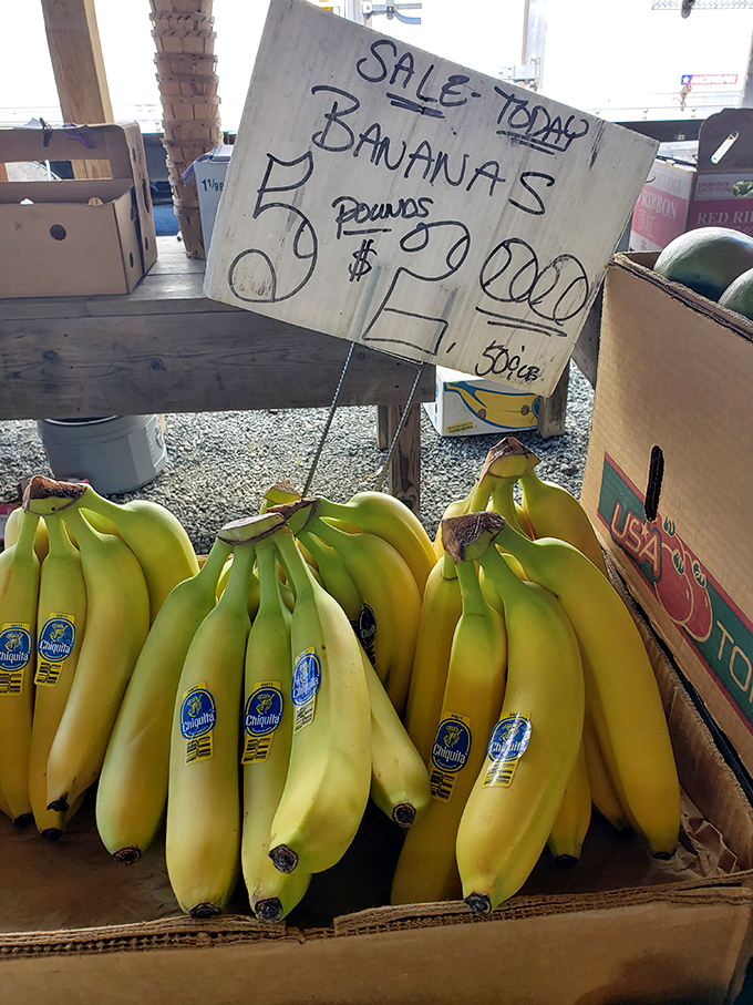 "Five pounds for two dollars!" Fresh produce mingles with vintage goods, proving Jake's isn't just about the past&mdash;it feeds the present too.