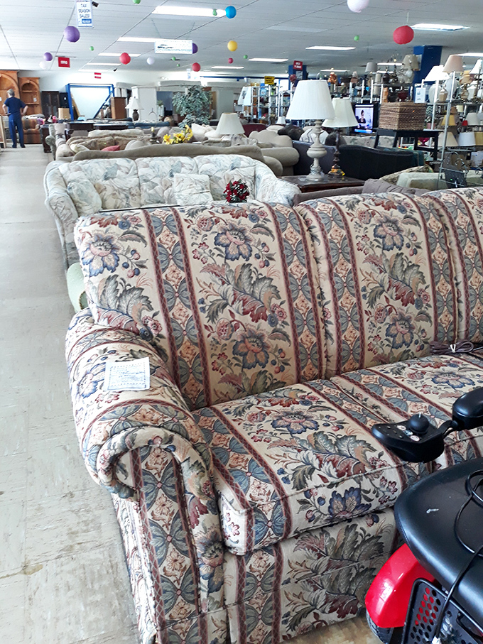 Sofas lounging like retired snowbirds, each one ready for its next chapter of comfort.