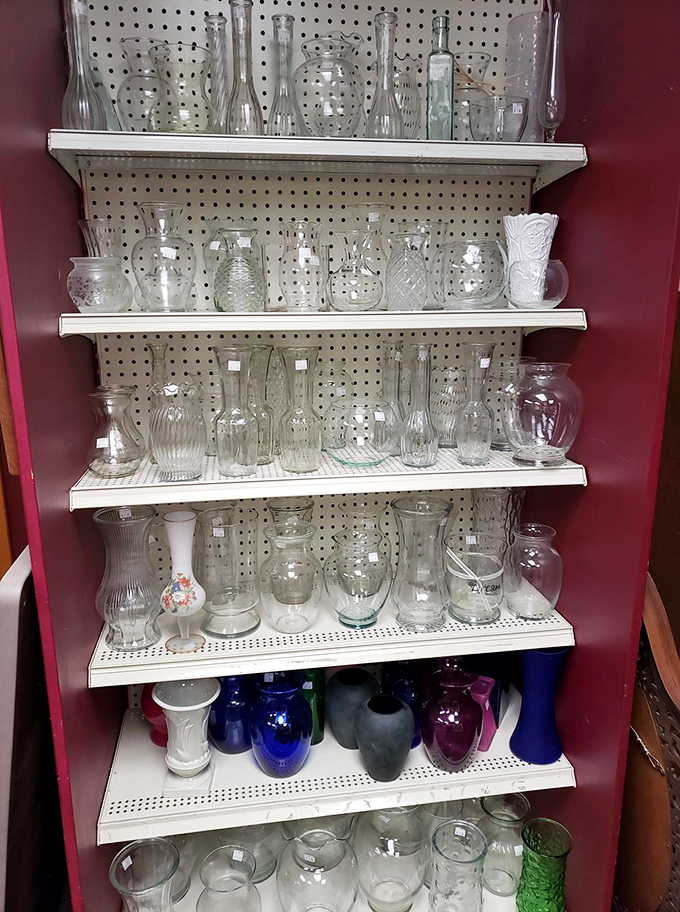 A crystal forest of vases stands at attention, each one ready to transform your grocery store flowers into a centerpiece worthy of a magazine spread.