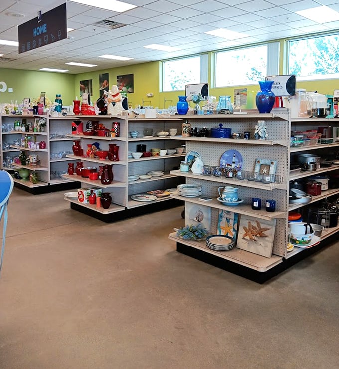 The housewares section gleams with potential, from cobalt blue vases to beach-themed plates&mdash;someone's discards becoming another's treasured finds.