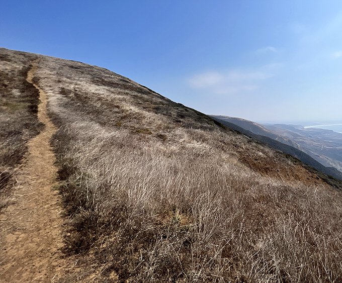 This trail doesn't just lead to a beach—it winds through a botanical showcase of California's coastal ecosystem, minus the docent.