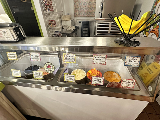 The ice cream case—where difficult decisions are made daily. Each flavor sits like a contestant in a beauty pageant of frozen delights.