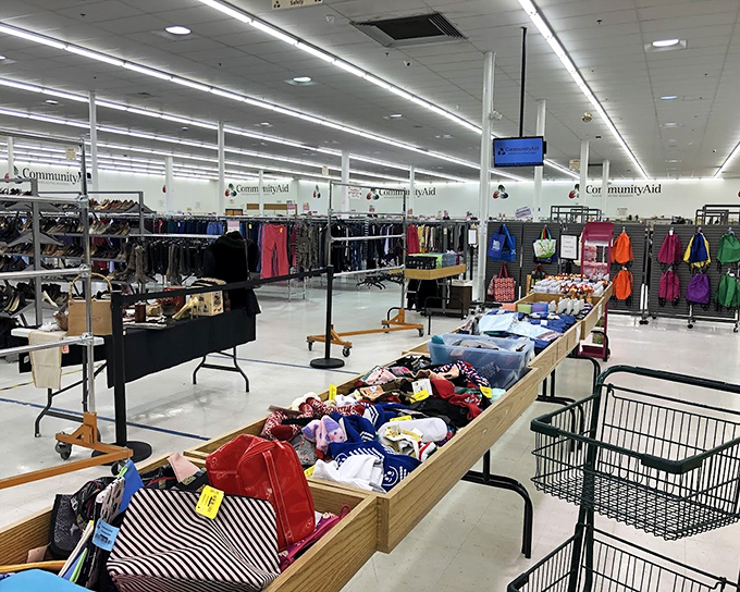 The books section sits like an island of knowledge in a sea of bargains. Literature and fashion coexisting in perfect harmony.