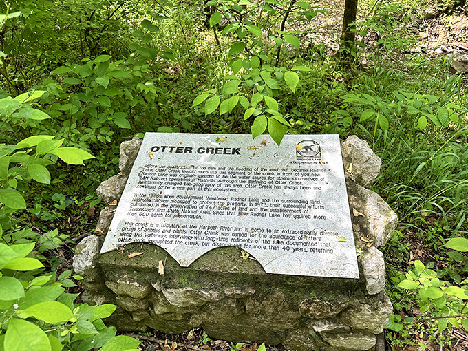 History etched in stone: Otter Creek's story told through this trail marker, a reminder that even wilderness has its own Wikipedia page.