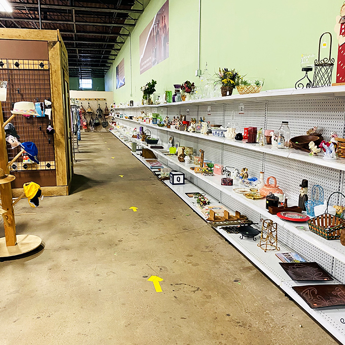 The home goods aisle stretches into infinity, offering everything from practical kitchen tools to decorative items that defy logical explanation. 