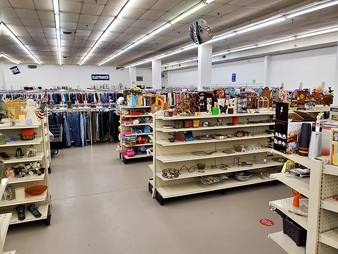 Wide aisles and clear signage make navigation a breeze, turning what could be overwhelming into an organized treasure hunt. 