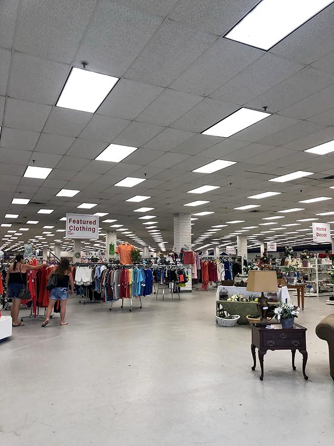 The store's thoughtful layout transforms what could be overwhelming into an organized treasure hunt that keeps shoppers coming back.