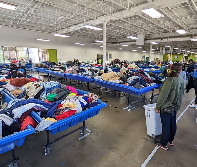 The vast landscape of possibility stretches before you&mdash;an indoor expedition where patience and sharp eyes are your most valuable tools.