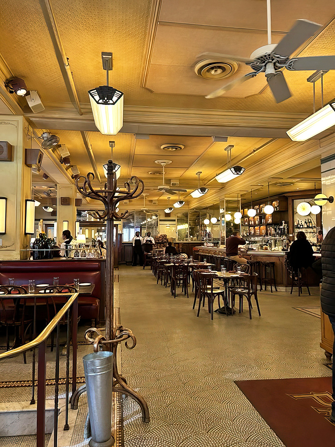 The dining room hums with conversation and clinking glasses. That brass railing isn't just decorative&mdash;it's the dividing line between ordinary life and French fantasy.