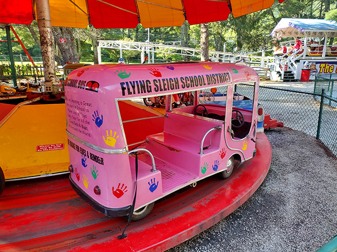 The Flying Sleigh School District bus proves even educational vehicles get the full Christmas treatment around here.