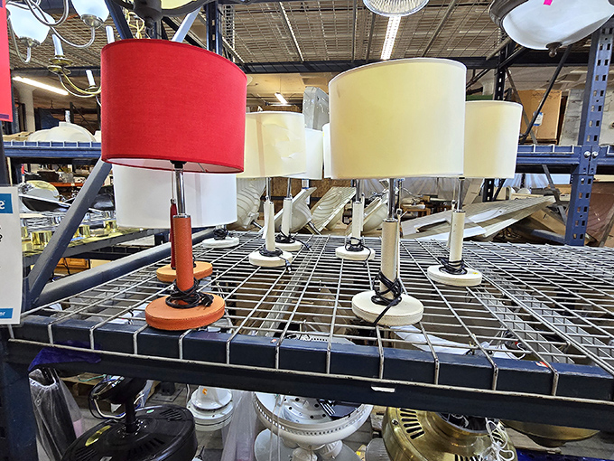 These lamps aren't just lighting fixtures; they're potential conversation pieces waiting to illuminate your next dinner party or reading nook. 