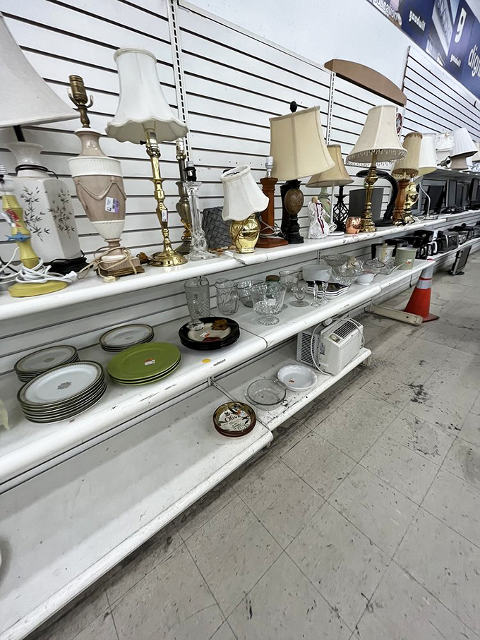 The lamp section glows with potential &ndash; each shade and base waiting for the perfect match and a second chance to illuminate. 