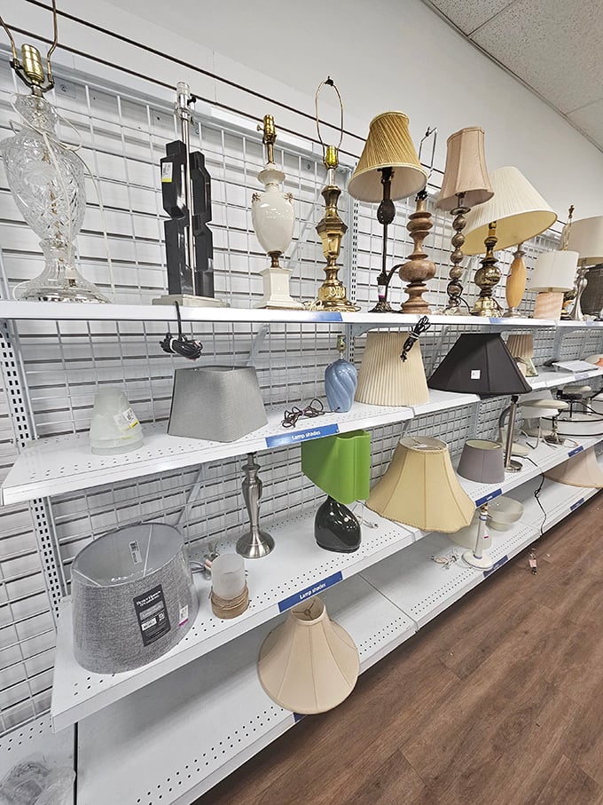 The lamp section: where lighting fixtures from six different decades come to shine again. Shades optional, stories included.