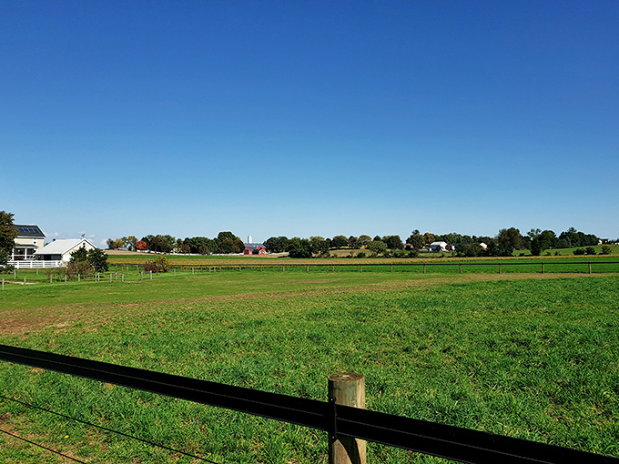The office view that never needs a screen saver&mdash;pristine pastures and fencelines that haven't changed in generations.