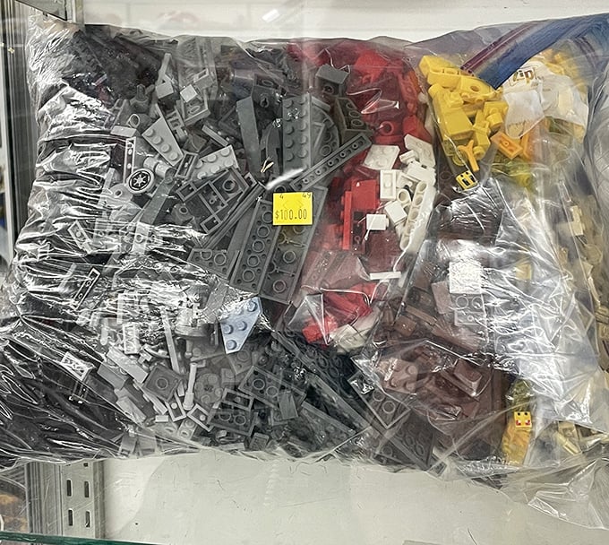 Bags of LEGO pieces offer endless building possibilities for kids and nostalgic adults who never quite grew up after all.