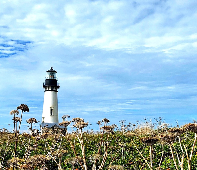 Standing tall since 1872, this coastal guardian still lights the way. Yaquina Head Lighthouse remains one of Oregon's most photographed maritime landmarks.