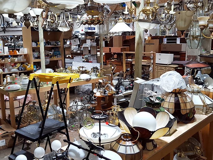 Chandeliers and fixtures hanging like jewelry for your ceiling, each one ready to brighten someone's world.