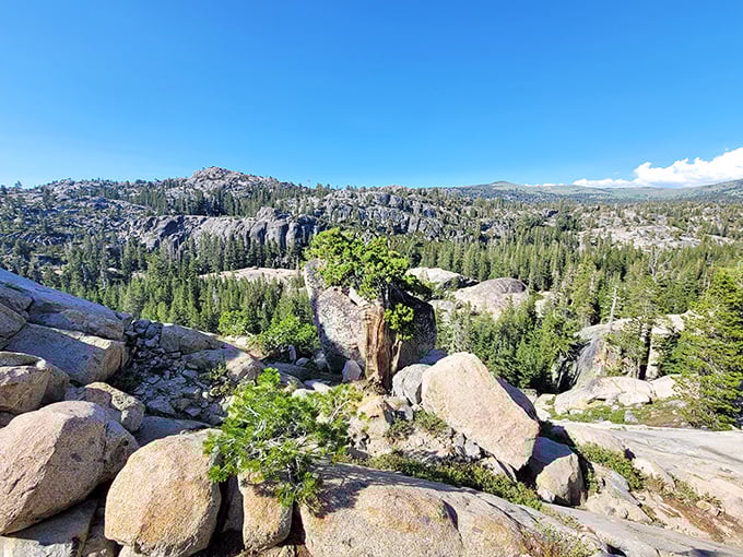 Granite wonderland stretching to the horizon. The kind of view that makes your social media friends secretly resent your vacation choices.
