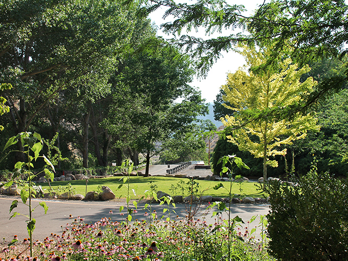 Manicured lawns and flowering gardens create a peaceful retreat. Like stepping into a secret garden that happens to have canyon walls.