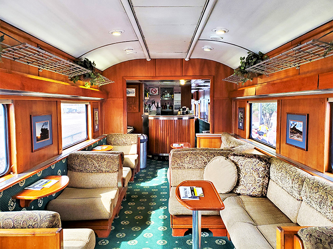 The Luxury Parlor car interior whispers of Gatsby-era opulence. That wood paneling has witnessed more champagne toasts and gasps of wonder than any five-star hotel.