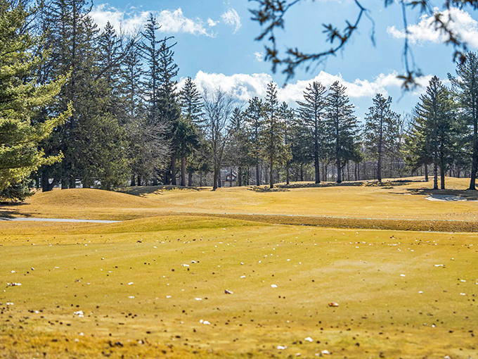 Northfield Golf Club's rolling greens offer a sanctuary where the biggest decision is which club to choose, not which email to answer.