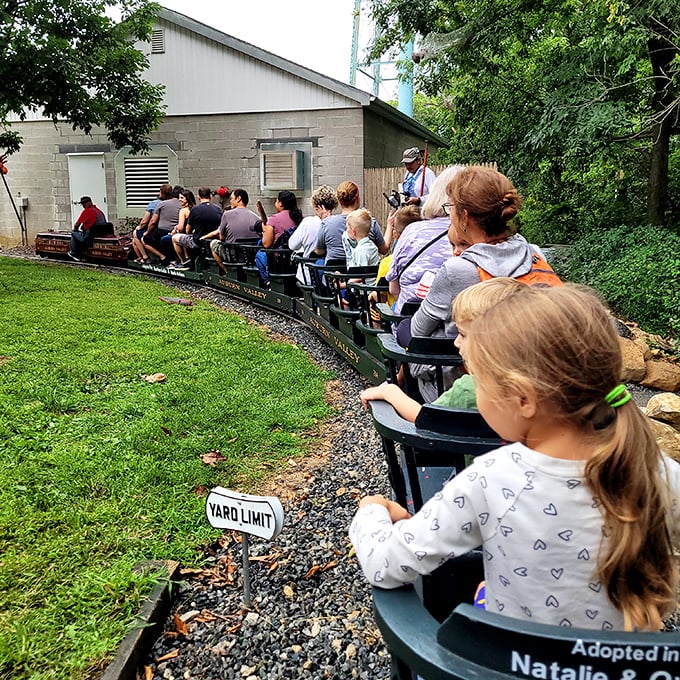 All aboard the world's most charming commute! The miniature steam railway carries passengers of all ages around the picturesque Auburn Heights grounds.