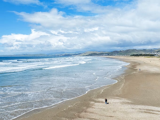 Gentle waves kiss the shoreline beneath Morro Rock, creating the perfect soundtrack for contemplating life's big questions&mdash;or just your lunch options.