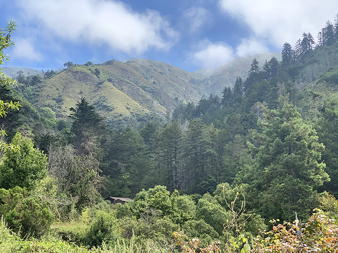 Big Sur's mountains plunge dramatically into the sea, creating that rare landscape that makes geologists swoon and poets reach for their notebooks.