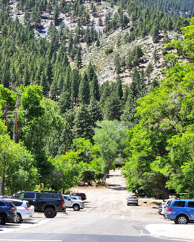 Where the forest meets the town, nature provides the perfect parking lot shade and a reminder of Genoa's wild mountain backdrop.